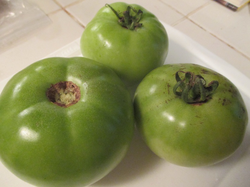 Food from Fiction 4: Sipsey’s Fried Green Tomatoes – Marie, Let's Eat!
